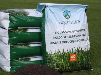 Braune Flecken im Rasen - Ursachen & Behandlung